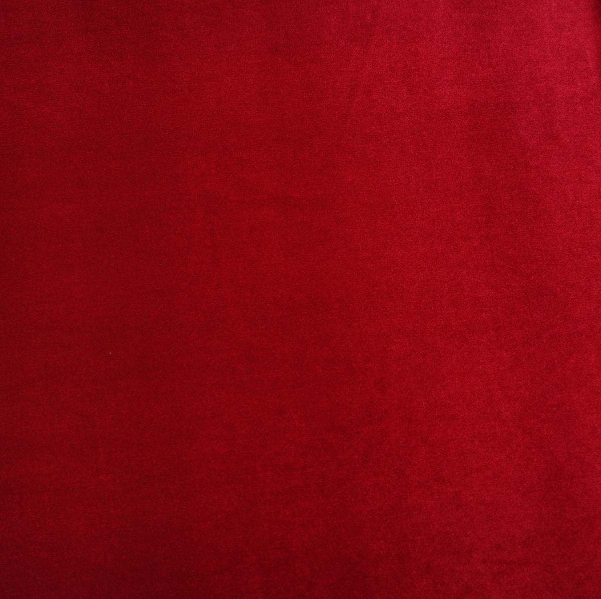 Red/Rouge Solid Micro Velvet Fabric | Rex Fabrics