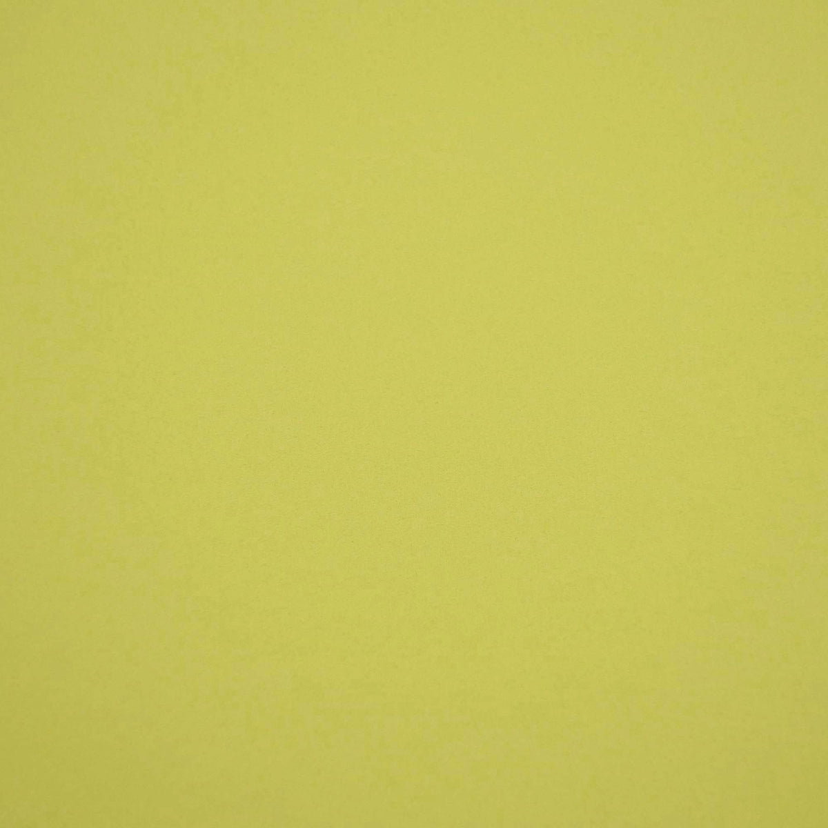 Pale Yellow Solid Polyester Georgette Gala Fabric | Rex Fabrics