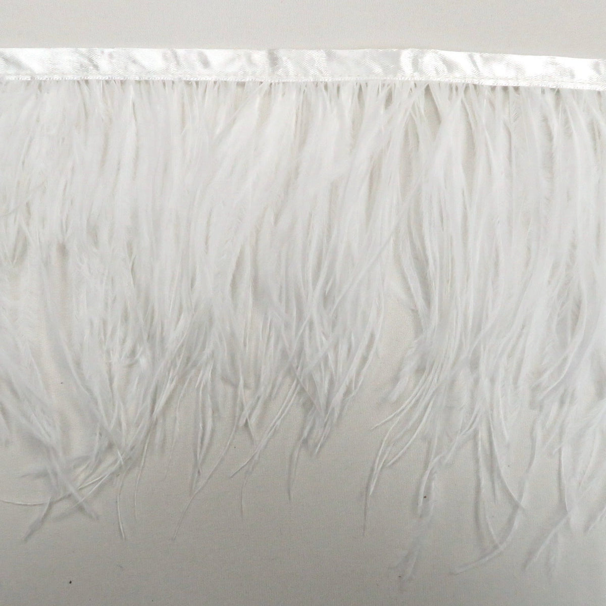 White Ostrich Feather Trim 2 PLY | Rex Fabrics