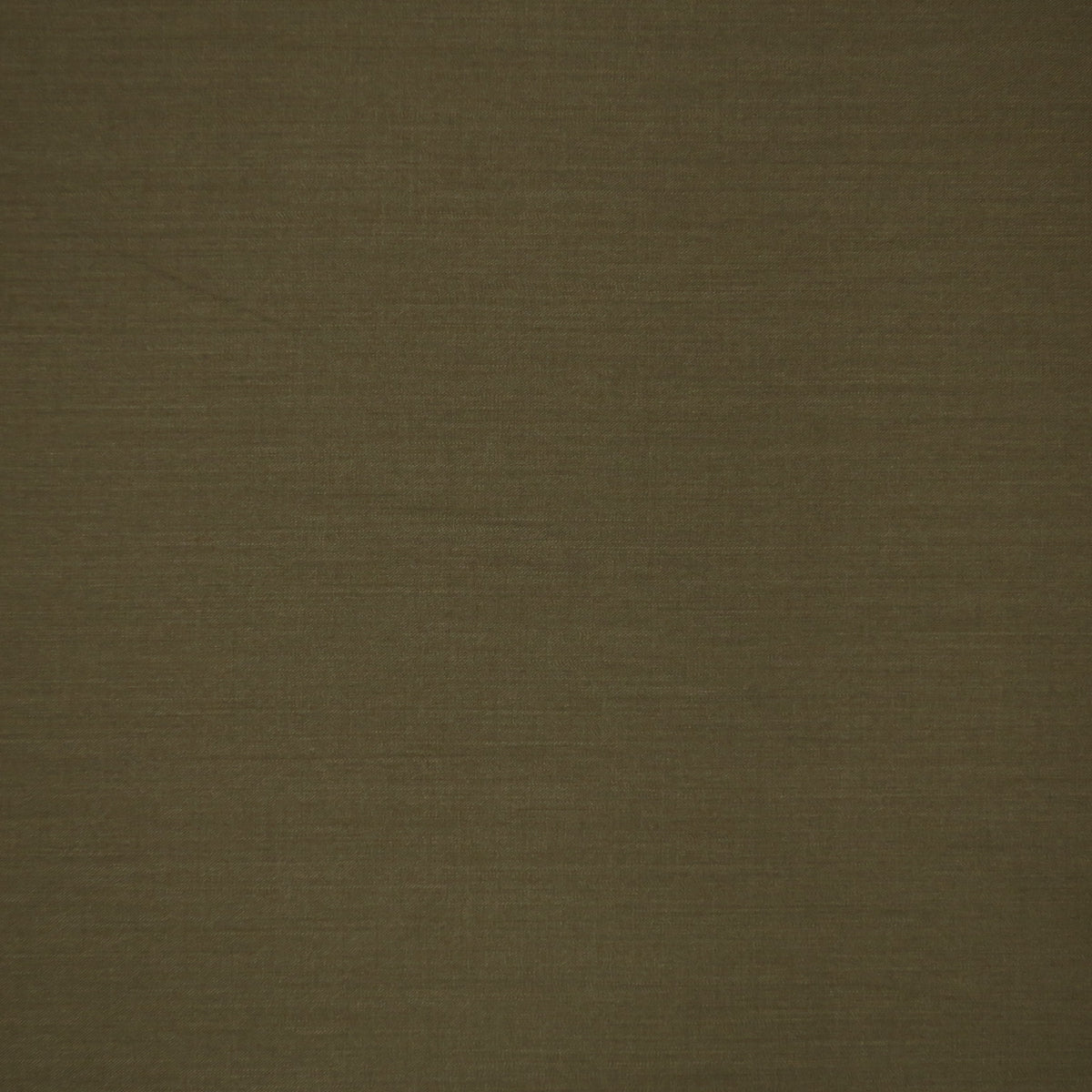 Olive Green Solid Nobility by Lanificio F.LLI Cerruti Suiting Fabric ...