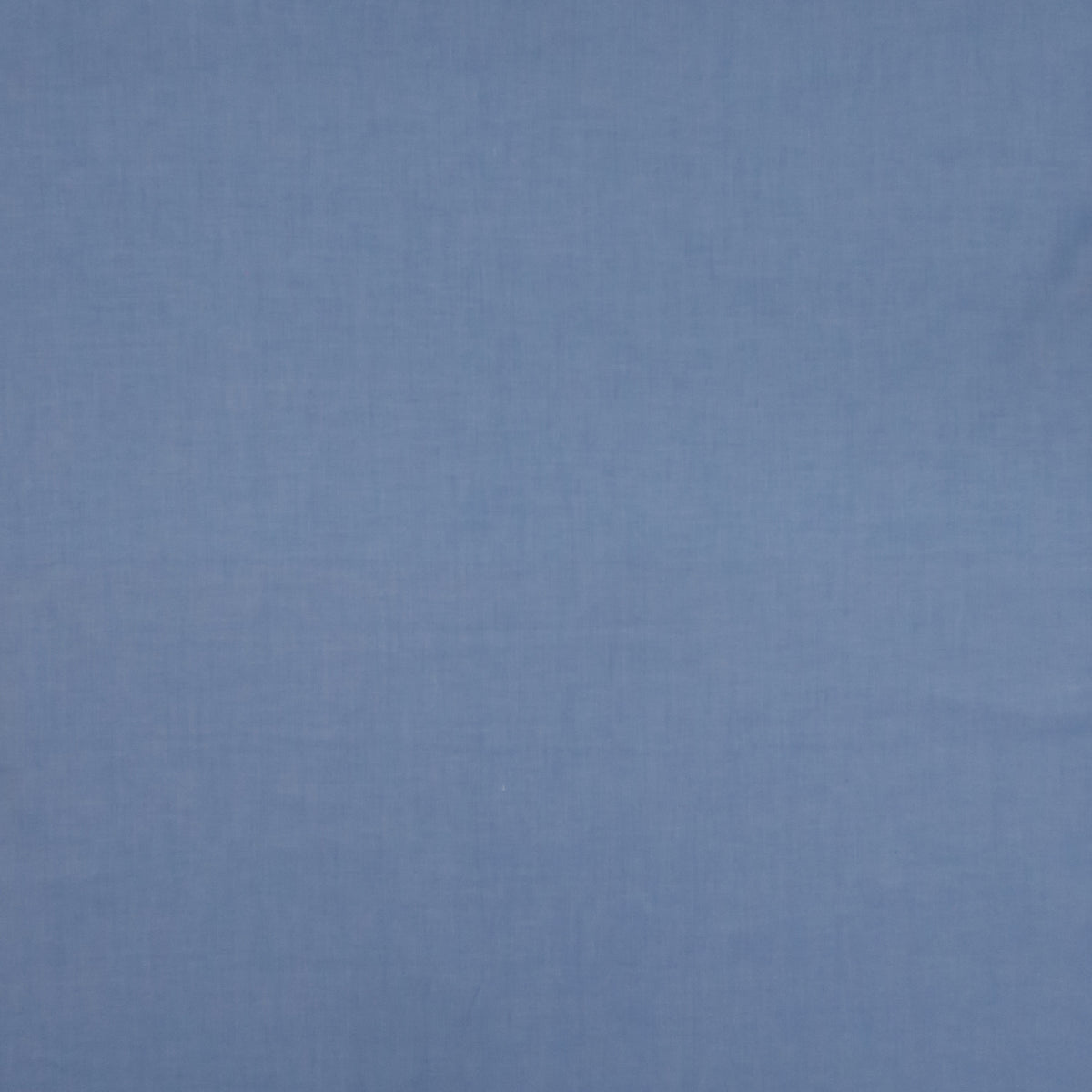 Light Blue Solid 100% Fine Shirting Cotton Fabric by Canclini | Rex Fabrics
